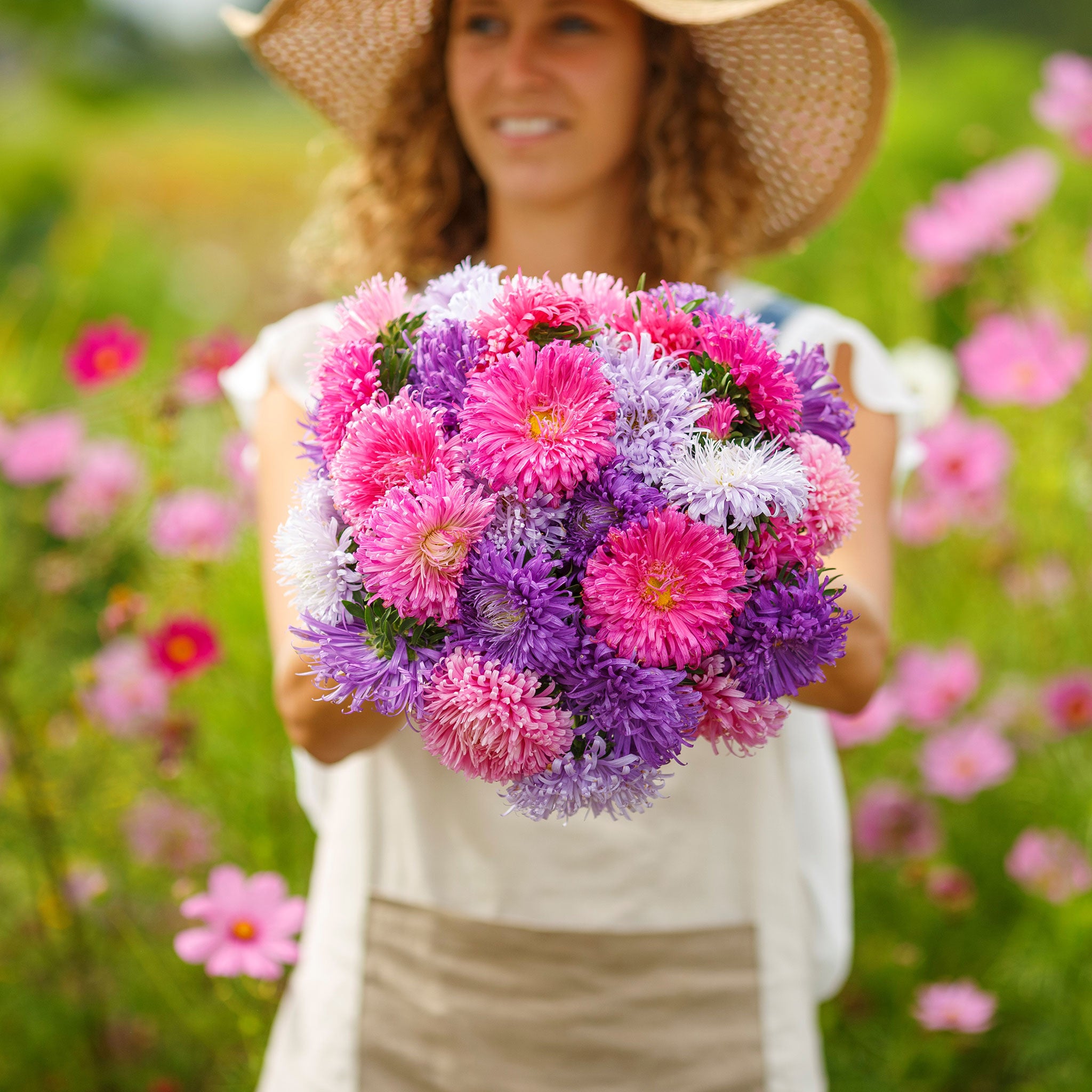 Bulk Flower Seeds | Buy in Bulk & Save | Bulk Seed Store