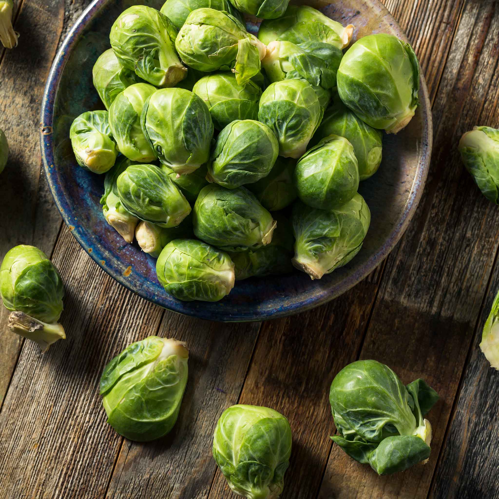 Bulk Brussels Sprouts Seeds | Buy in Bulk & Save | Bulk Seed Store