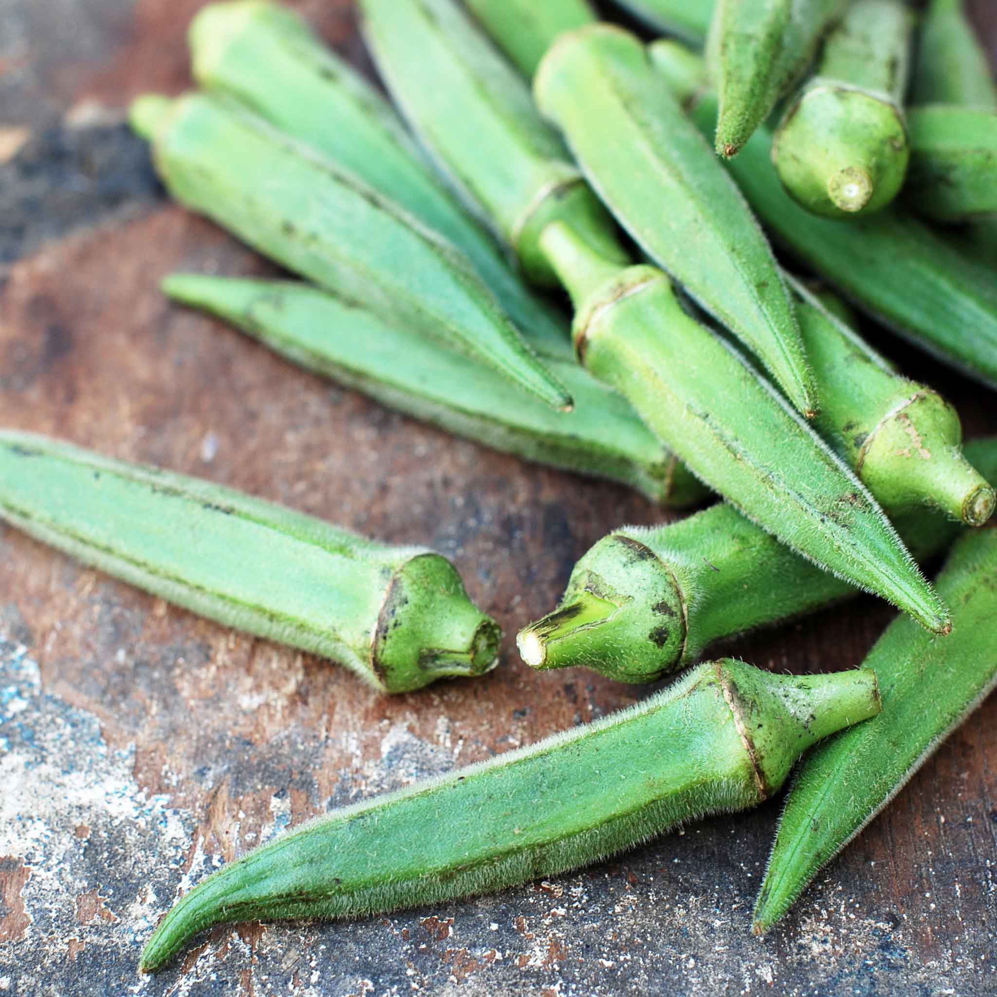 Bulk Okra Seeds | Buy in Bulk & Save | Bulk Seed Store