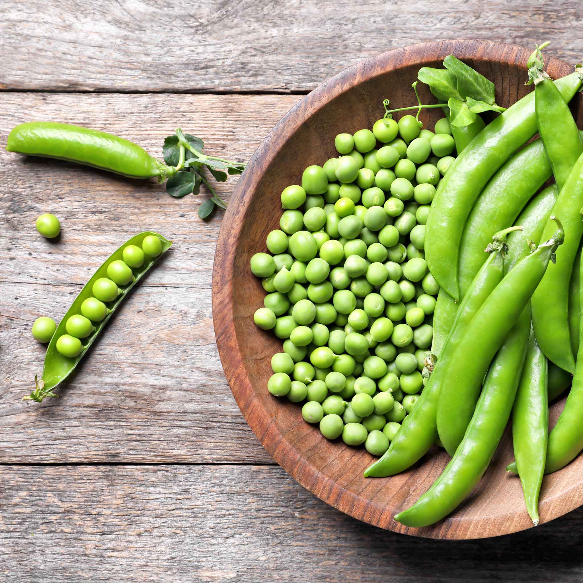 Bulk Pea Seeds | Buy in Bulk & Save | Bulk Seed Store