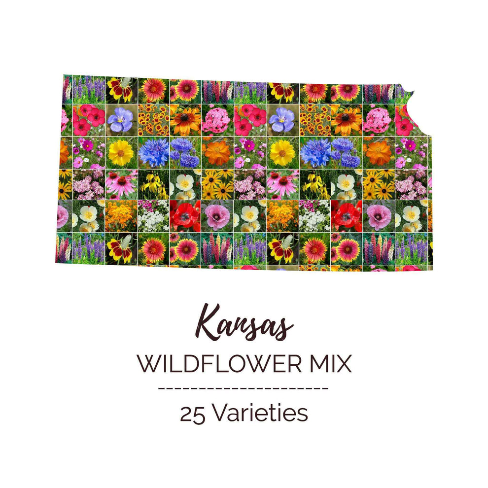 Bulk Kansas Wildflower Seed Mix | Bulk Seed Store