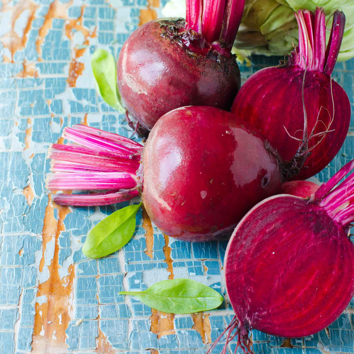 Bulk Beet Seeds - Ruby Queen | Bulk Seed Store