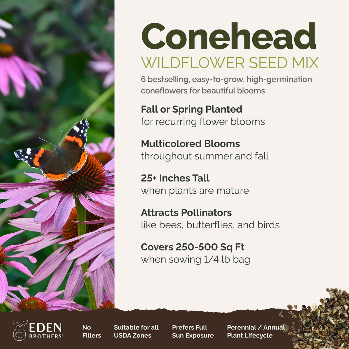 Bulk Conehead - Coneflower Seed Mix | Bulk Seed Store