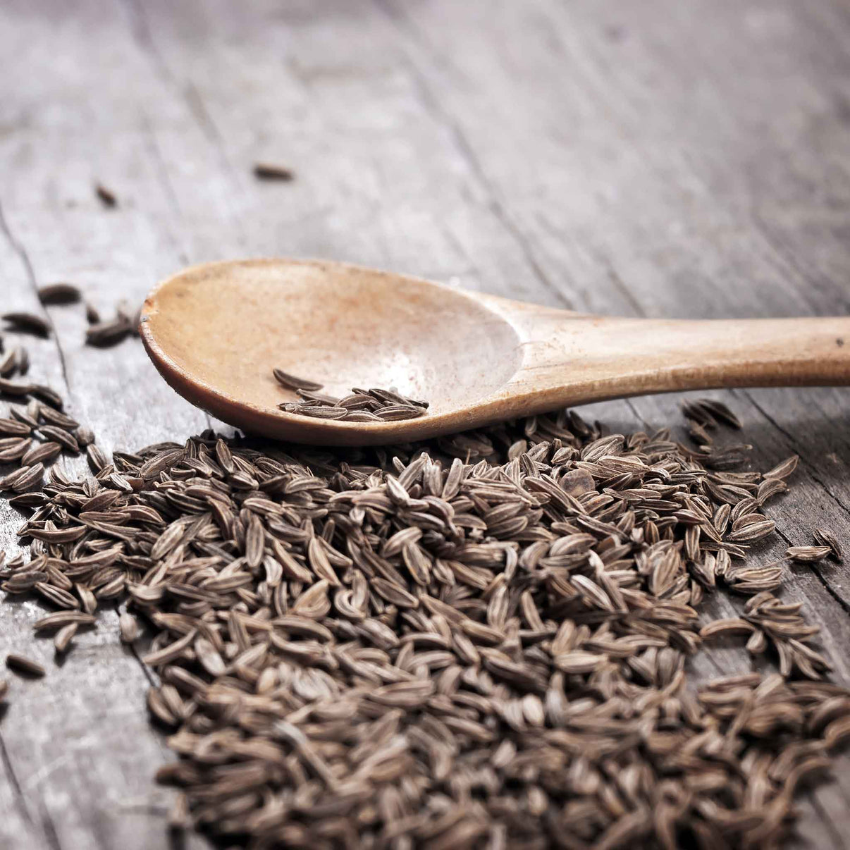 Bulk Cumin Seeds | Bulk Seed Store
