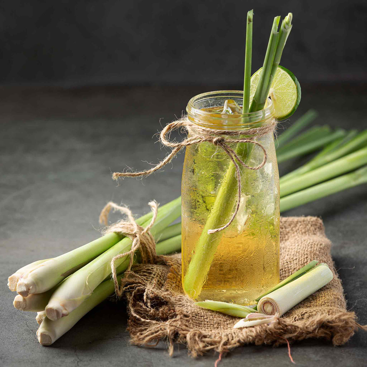 Lemongrass Seeds - West Indian | Flower Seeds | Bulk Seed Store