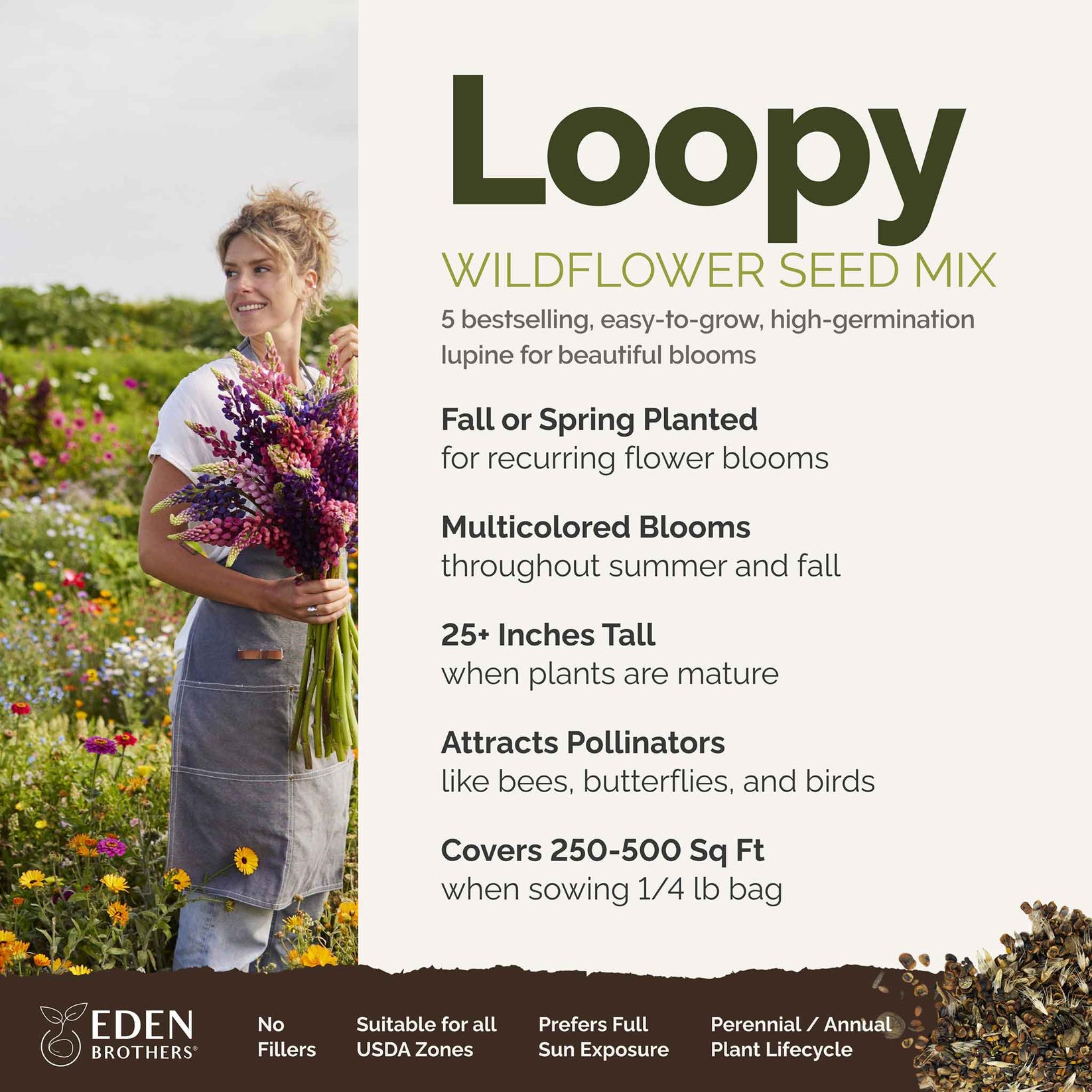 Bulk Loopy - Lupine Flower Seed Mix | Bulk Seed Store