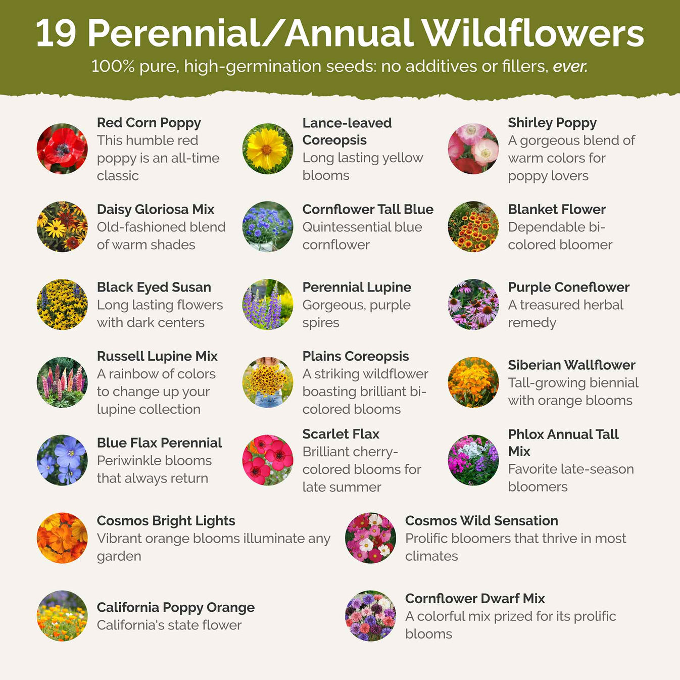 Missouri Wildflower Seed Mix | Bulk Seed Store