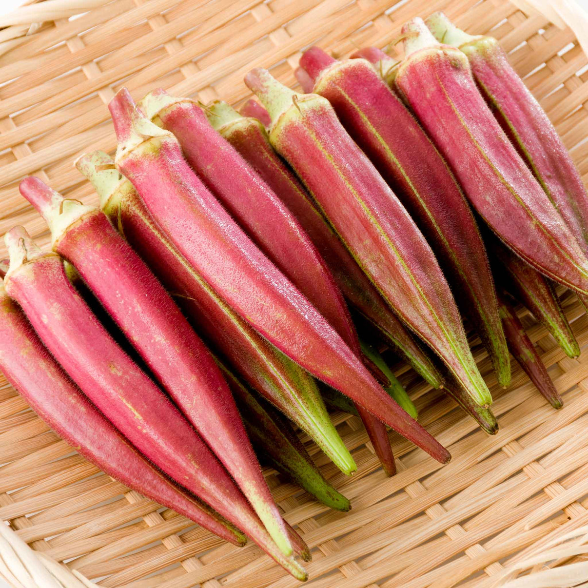 Bulk Okra Seeds - Jing Orange | Bulk Seed Store