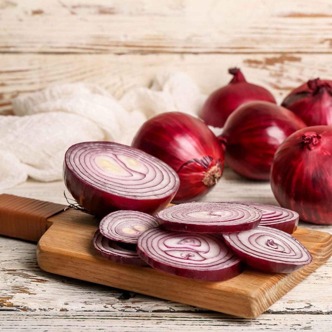 Bulk Onion Seed | Buy in Bulk & Save | Bulk Seed Store