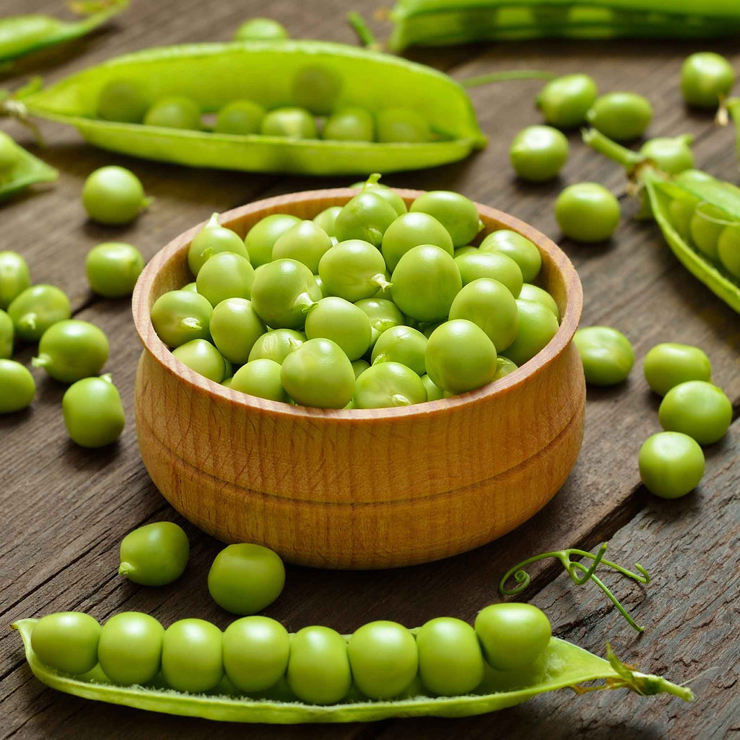 Bulk Pea Seeds | Buy in Bulk & Save | Bulk Seed Store