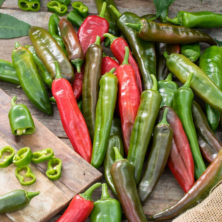 Bulk Pepper Seeds | Buy in Bulk & Save | Bulk Seed Store