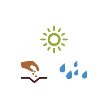 Wildflower Coverage Chart | Bulk Seed Store