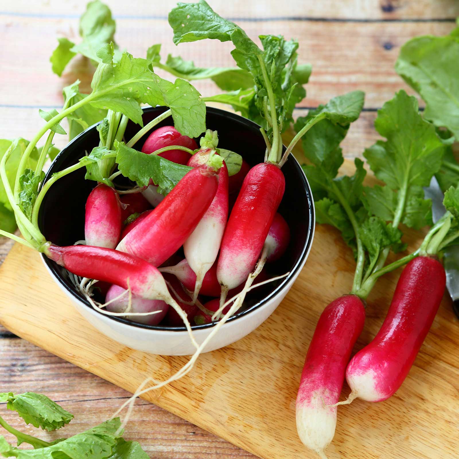 Bulk Radish Seeds - French Breakfast | Bulk Seed Store