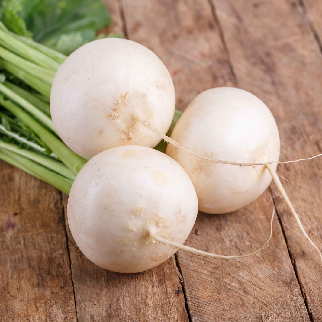 Bulk Turnip Seeds | Buy in Bulk & Save | Bulk Seed Store