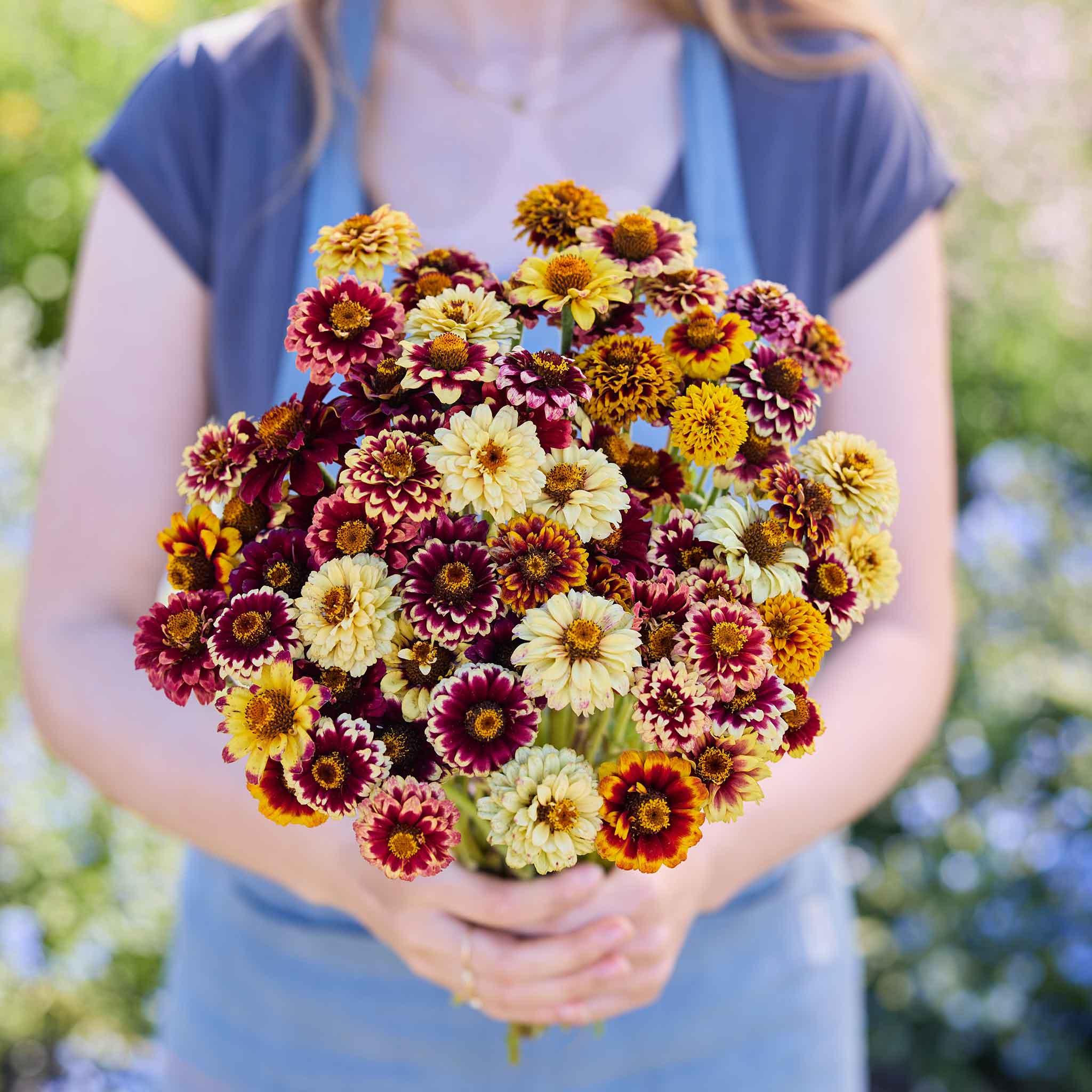 Bulk Zinnia Seeds - Jazzy Mix | Bulk Seed Store