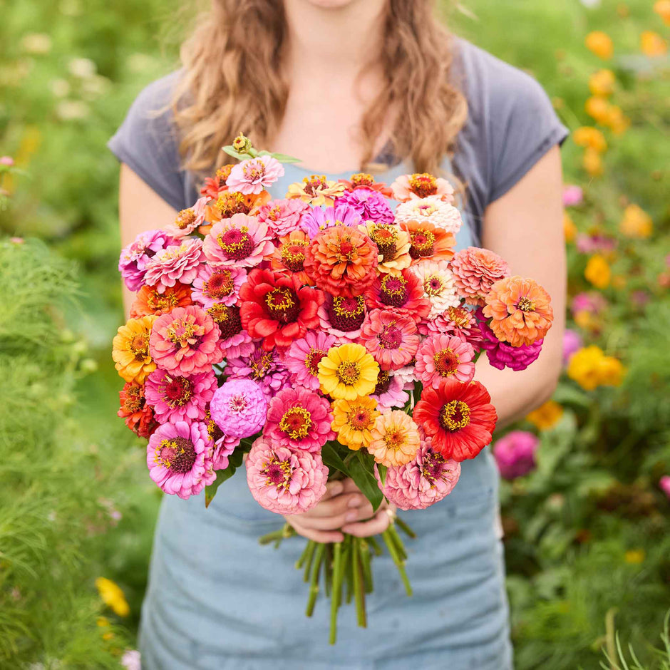 Bulk Zinnia Seeds | Buy in Bulk & Save | Bulk Seed Store