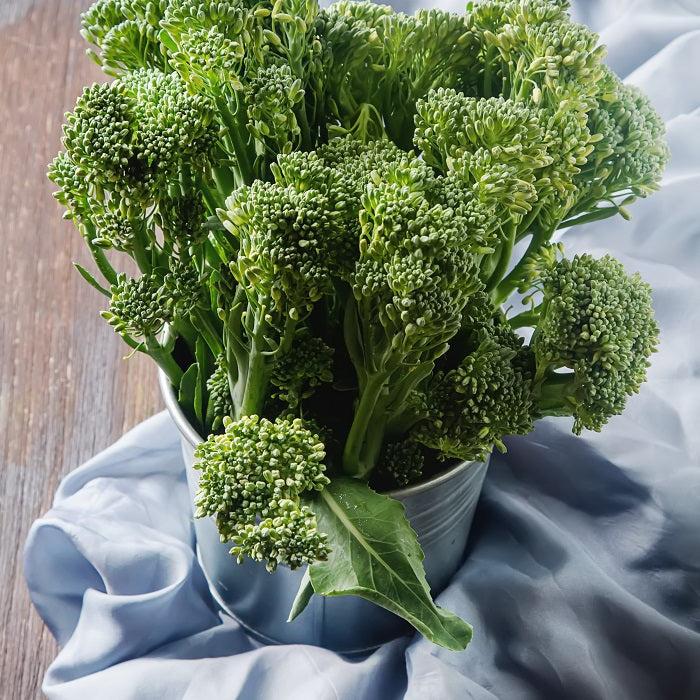 Bulk Broccoli Seeds (Organic) - Waltham 29 | Bulk Seed Store