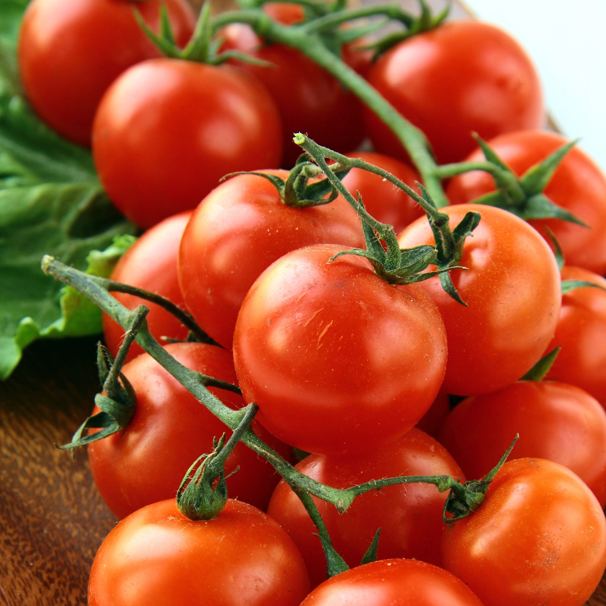 Bulk Tomato Seeds (Organic) - Red Cherry - Large | Bulk Seed Store